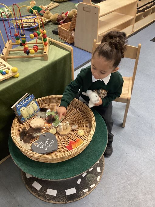 This week at Gray's Farm - W/B 24th March - News - Gray's Farm Primary